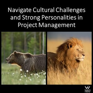 Navigating Cultural Challenges and Strong Personalities in Project ...